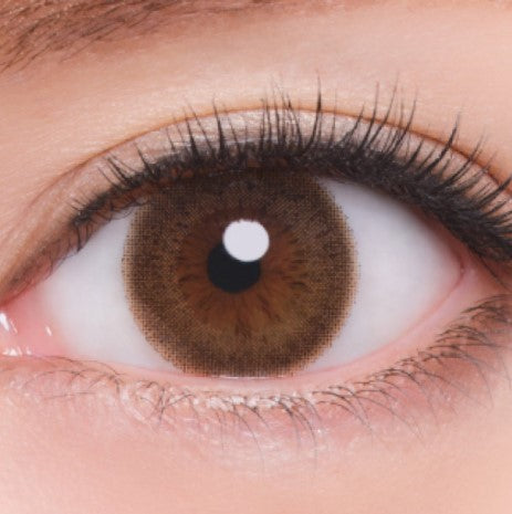 Decorative Eyes Veil Baby Maple 1 Day Contact Lenses 10 Pack– Trendy ...