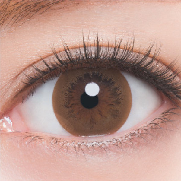 Decorative Eyes Veil Honey Glass 1 Day Contact Lenses 10 Pack– Trendy ...