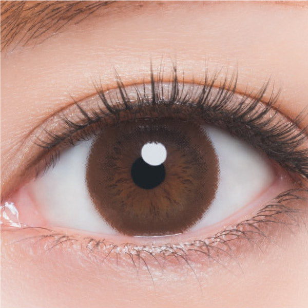 Decorative Eyes Veil Lucent Brun 1 Day Contact Lenses 10 Pack– Trendy ...