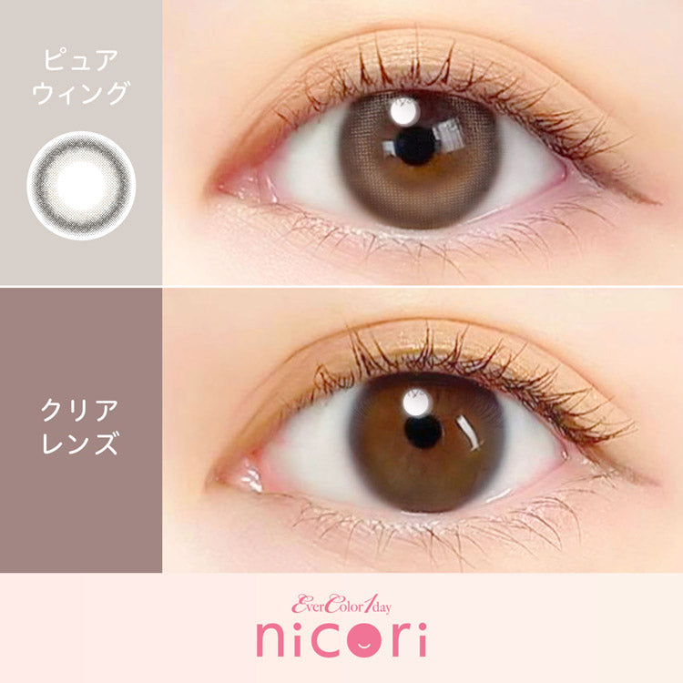 EverColor 1 Day Nicori Pure Wing Contact Lenses 10 Pack– Trendy Sweet Shop