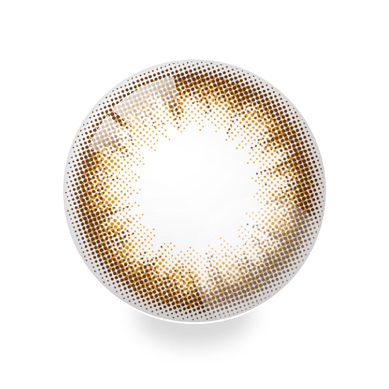 Flanmy 1 Day Shell Sand Brown Contact Lenses 10 pack– Trendy Sweet Shop