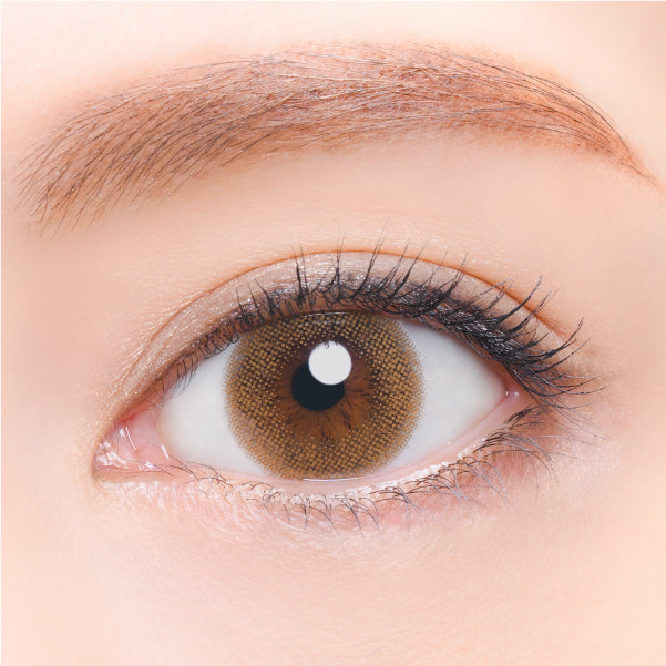 Knock Knock 201 Light Brown 1 Day Contact Lenses 10 Pack– Trendy Sweet Shop