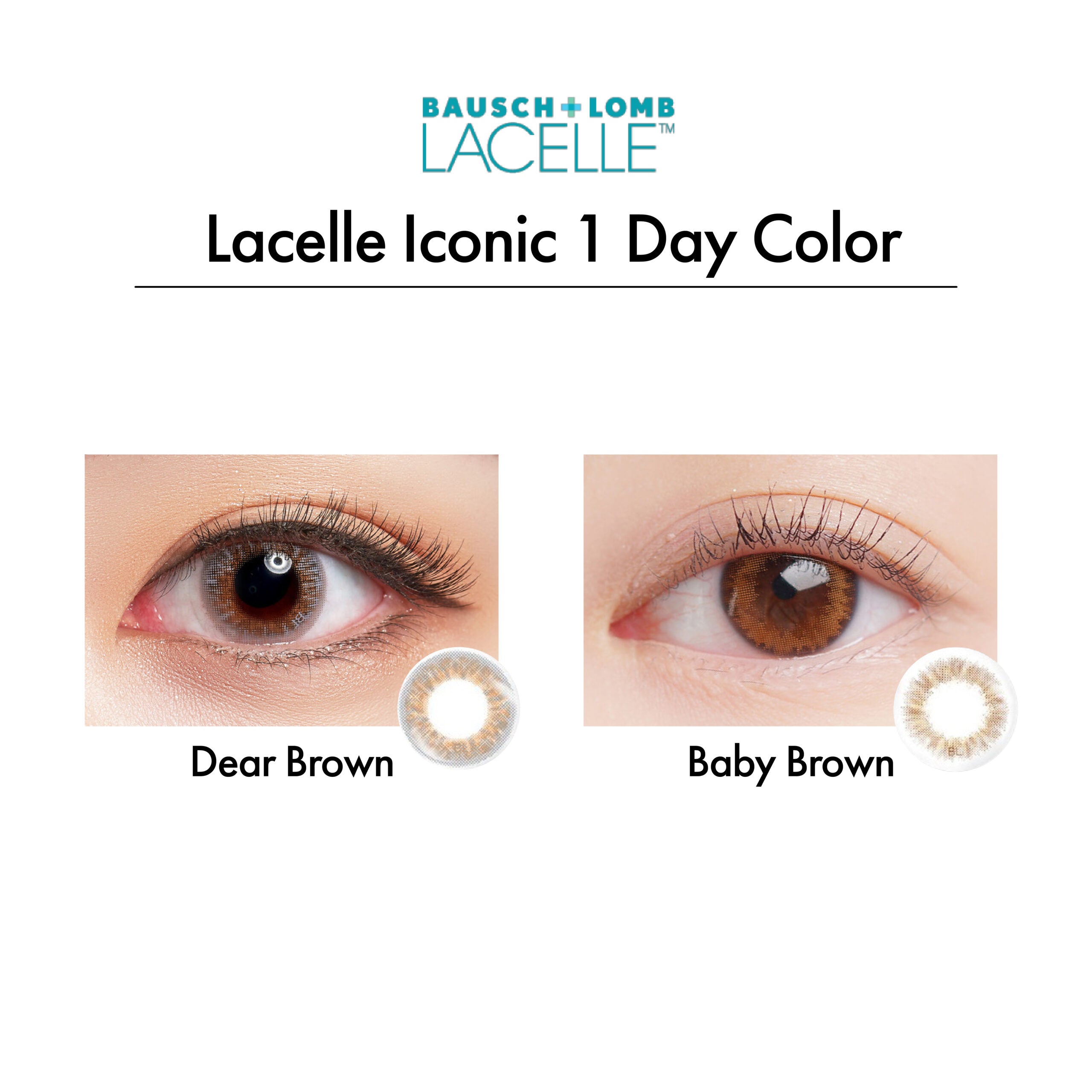 Lacelle Iconic Baby Brown Contact Lenses 30 Pack– Trendy Sweet Shop