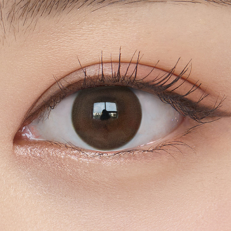 OLENS Misty One Day Natural Choco Contact Lenses 10 Pack– Trendy Sweet Shop