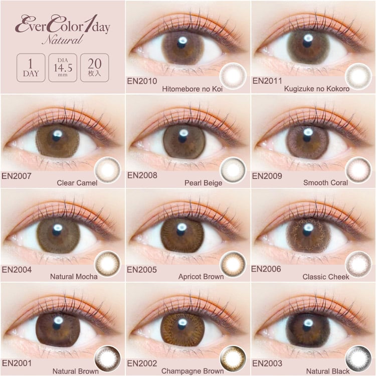 EverColor 1 Day Natural Clear Camel Contact Lenses 20 Pack– Trendy ...