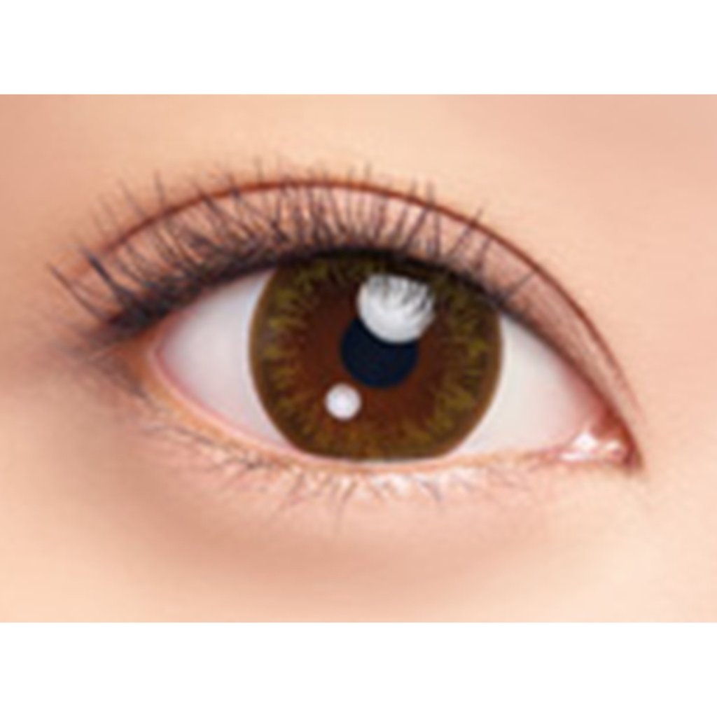Lacelle Enchanting Gold Contact Lenses 30 Pack– Trendy Sweet Shop
