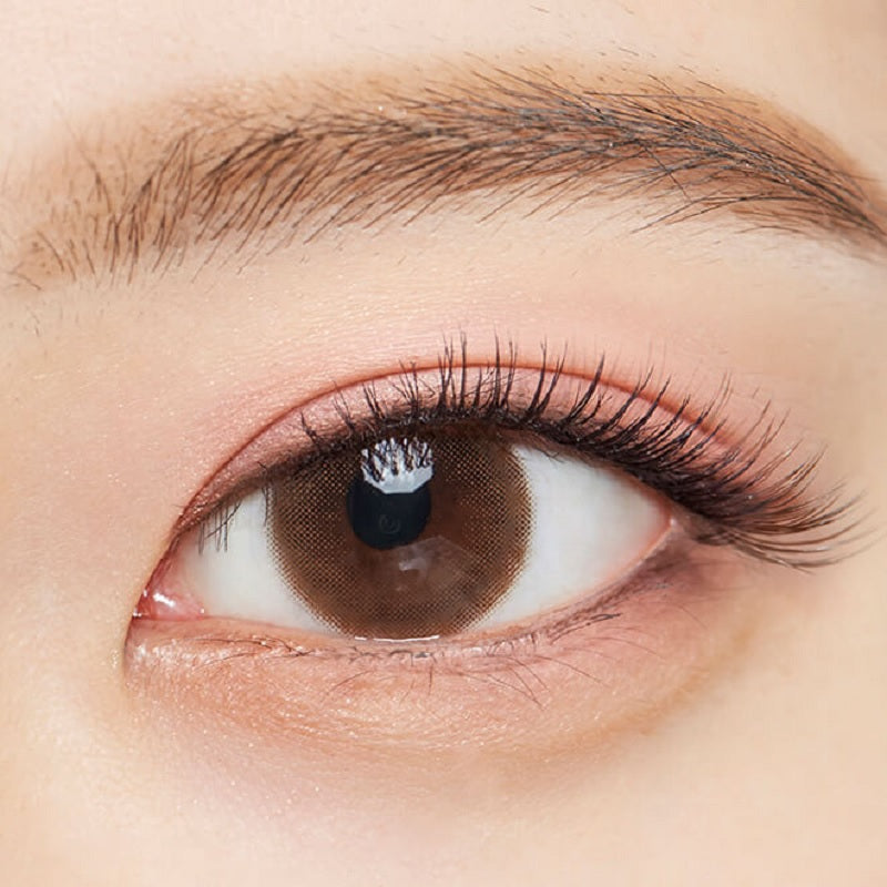 OLENS Falling Brown Monthly Contact Lenses 2 Pack– Trendy Sweet Shop