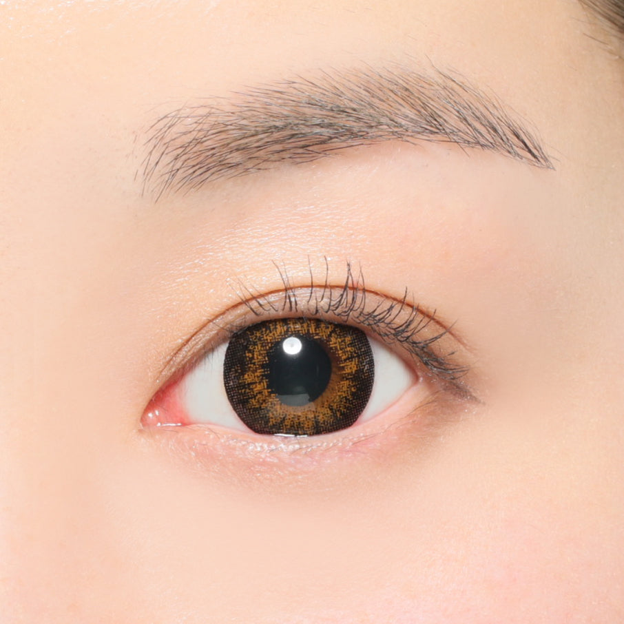 Secret Candy Magic 1 Day No.6 Brown Contact Lenses 20 pack– Trendy ...