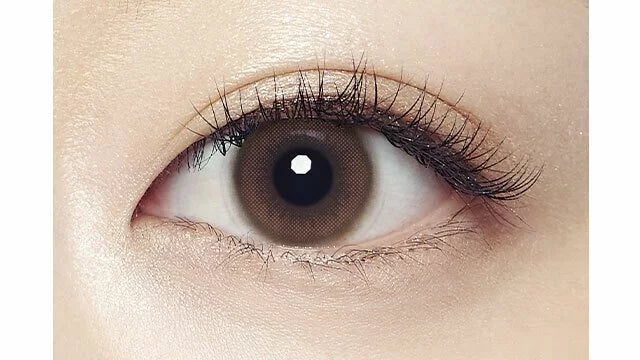 Seed Belleme Peach Brown Contact Lenses 10 Pack– Trendy Sweet Shop